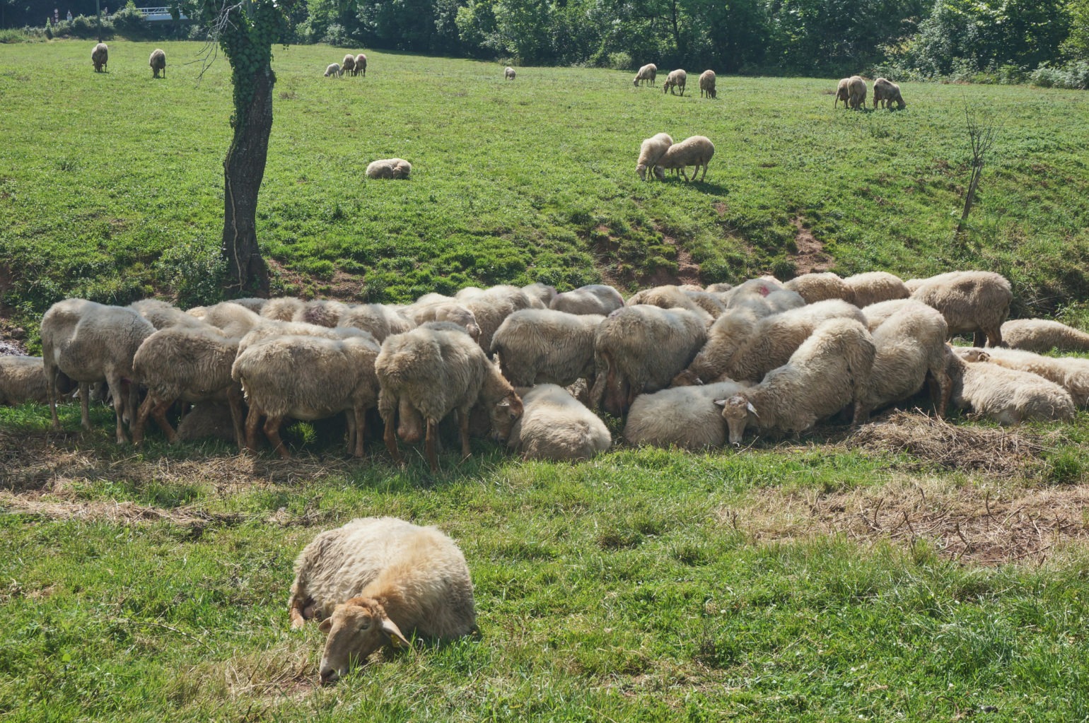 Le Pays basque à vélo : nos idées d'itinéraires entre villages et ...